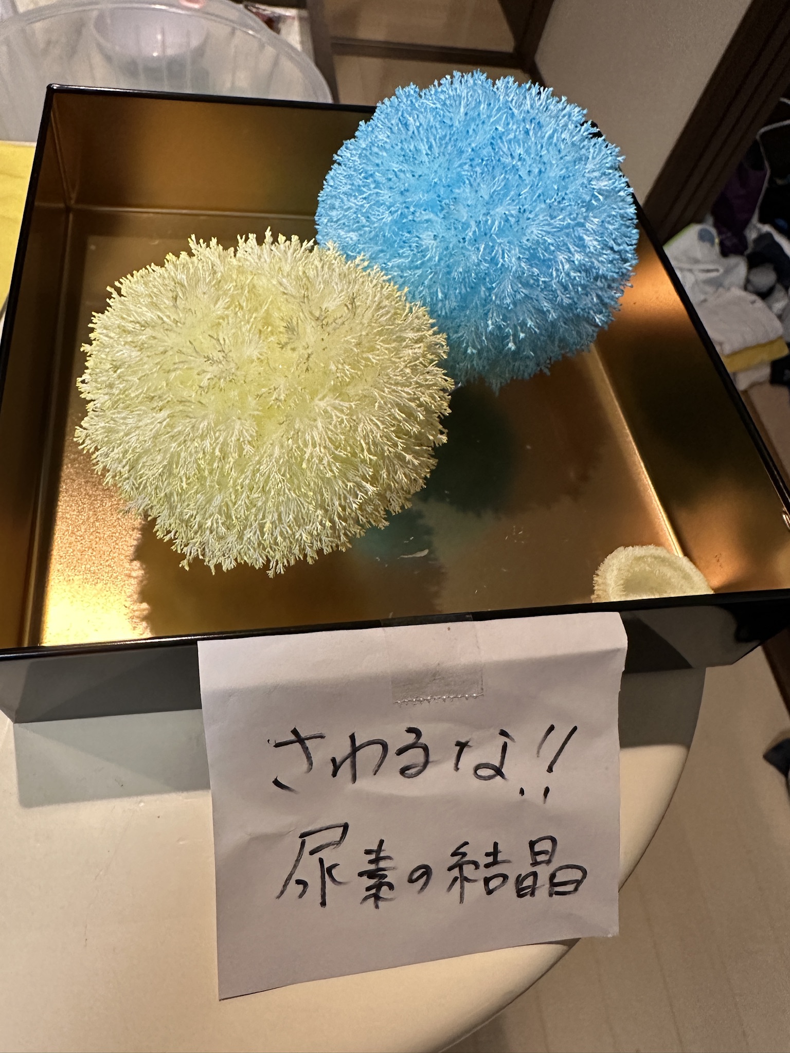 科学実験！ – 社長ブログ「感謝！」